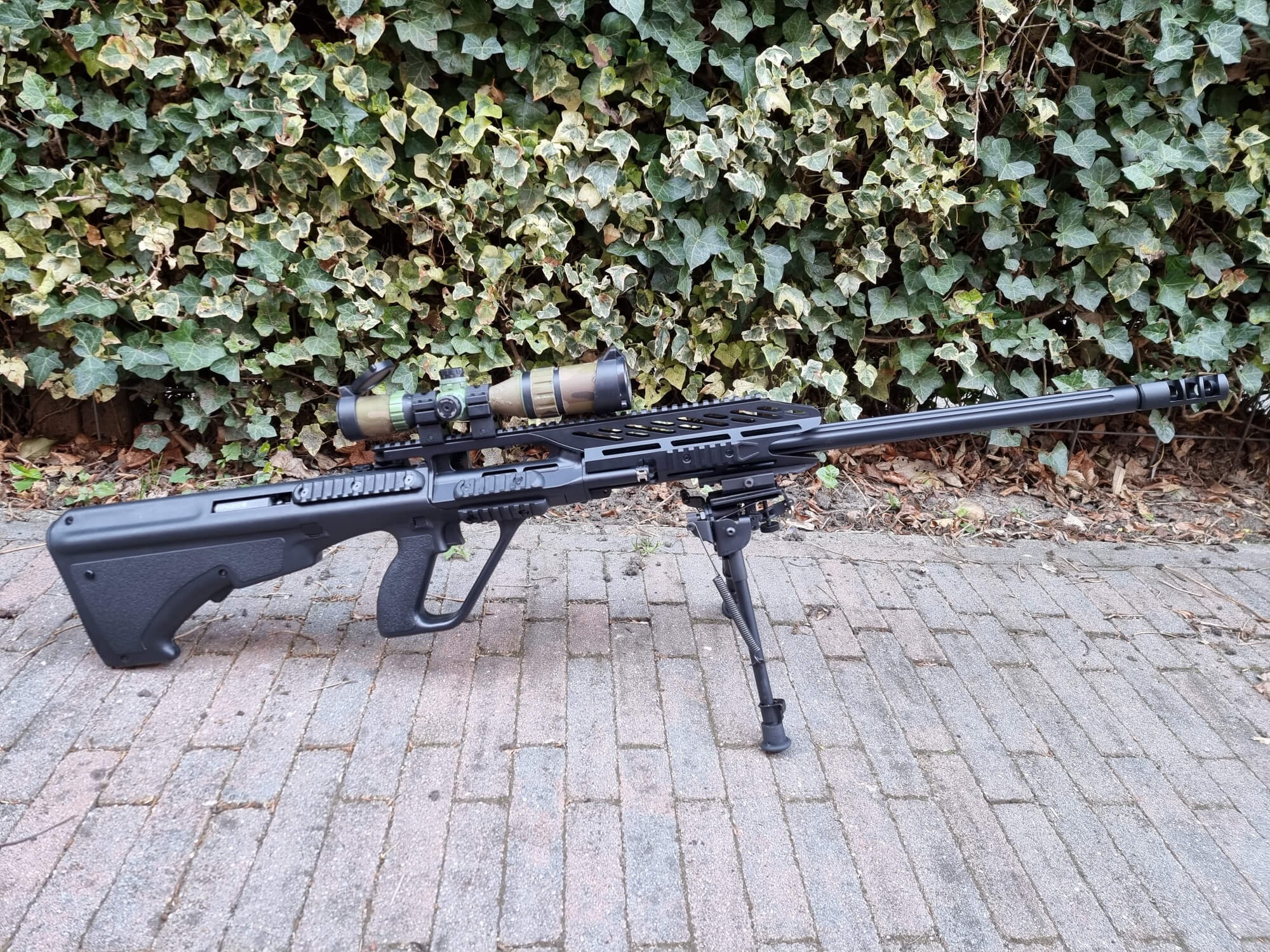 Steyr Aug A3 DMR | Titan Gate | Inclusief scope, magazijnen en koffer ...